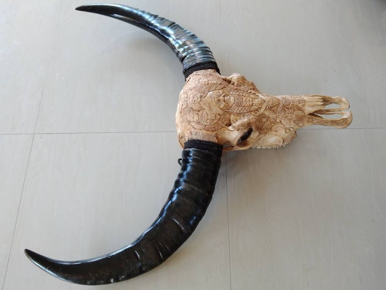 Hand Carved Buffalo Skull Wall Hanging – Native Tribal Wildlife ...