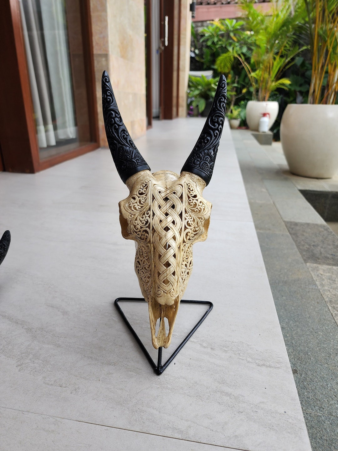 Carve Goat Skull Carving Celtic Antic - Etsy