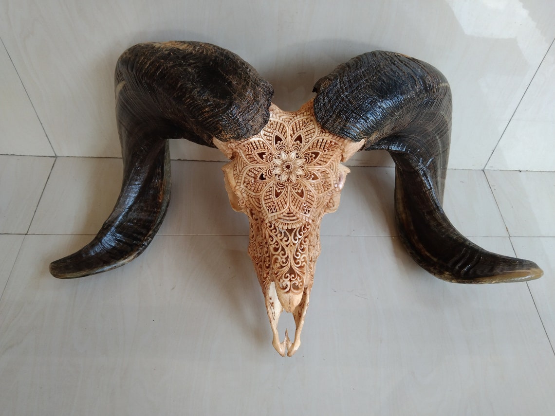 Carve Ram Skull Carving Mandala - Etsy