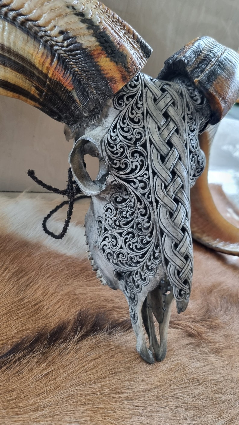 Carve Ram Skull Carving Celtic With Patern - Etsy