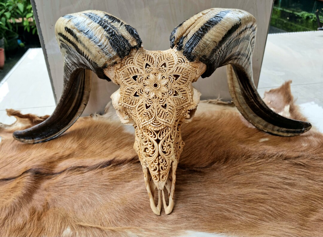 Carve Ram Skull Carving Mandala - Etsy