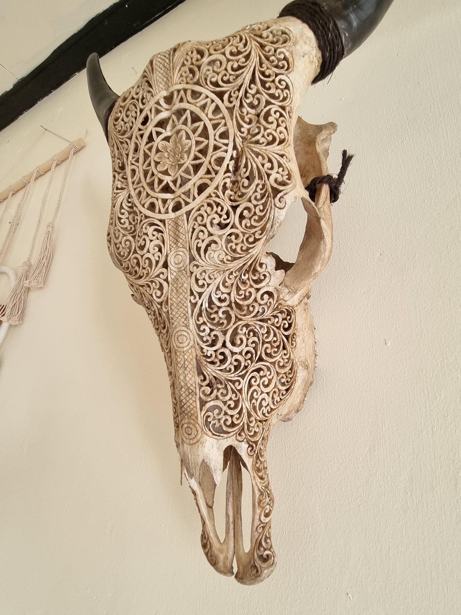 Cow Skull Carving BOHO Wall Decor - Etsy