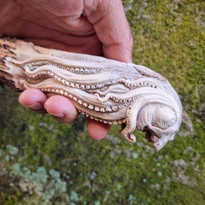 Deer Antler Carving Skull Octopus for Knife Handle - Etsy