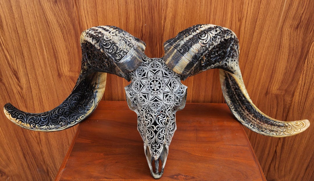 Carve Ram Skull Carving Mandala Grey Carved Horn - Etsy