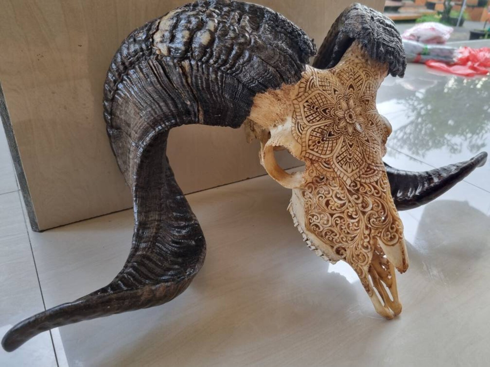 Carve Ram Skull Carving Mandala - Etsy