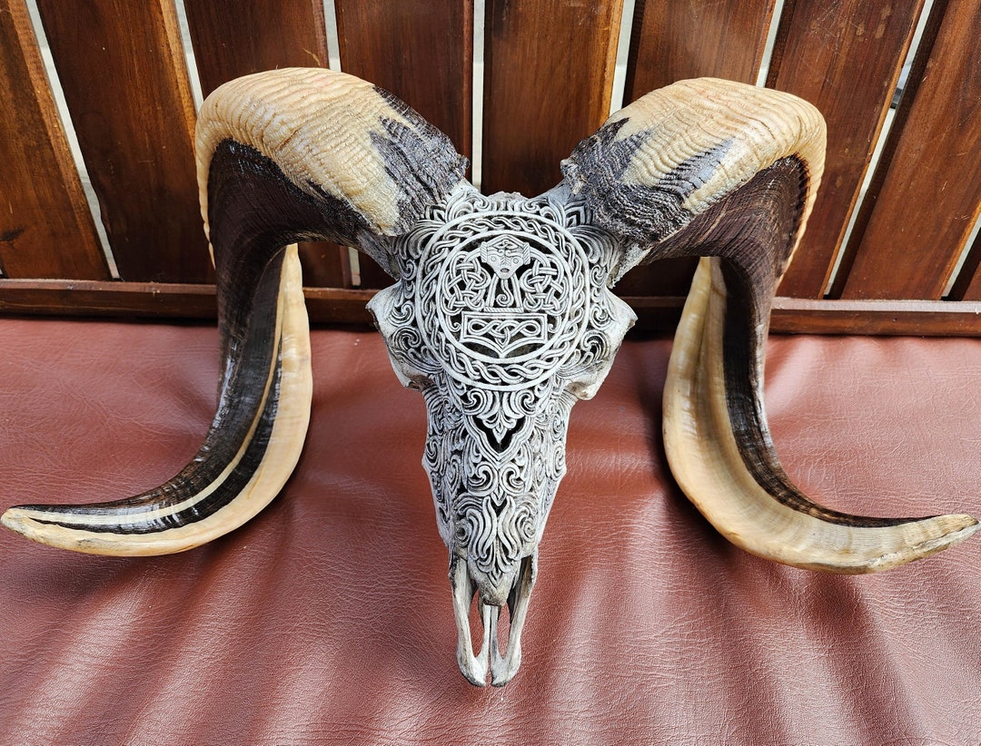 Carve Ram Skull Carving Viking Grey - Etsy