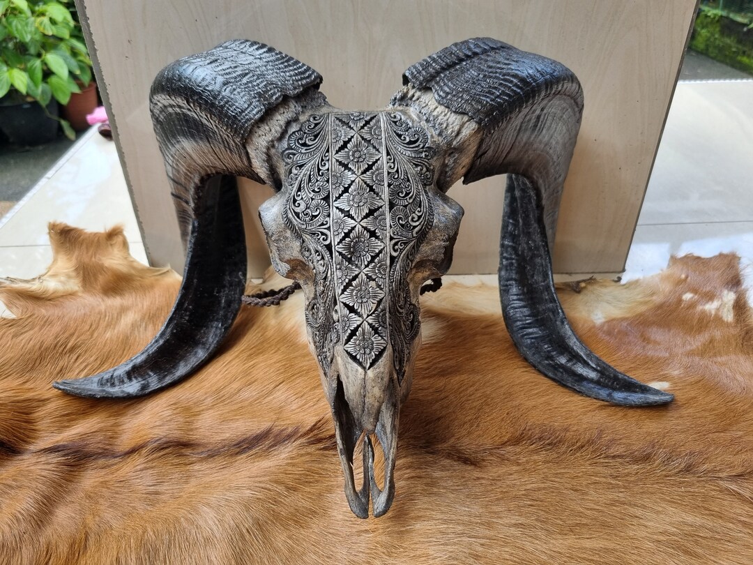 Carve Ram Skull Carving Celtic With Patern - Etsy