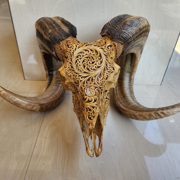 Goat Skull - Etsy
