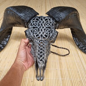 Carved Ram Skull Celtic - Etsy