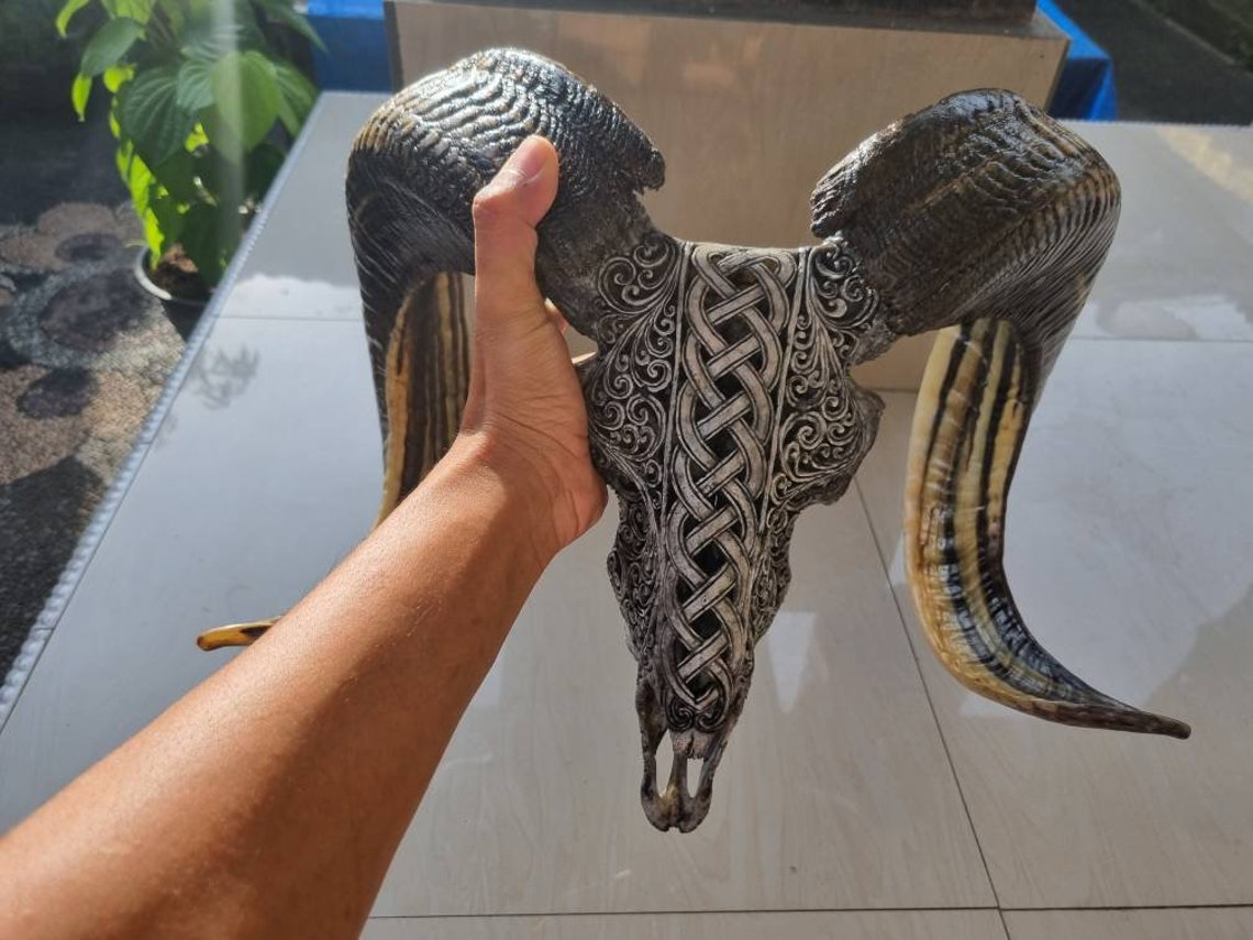 Carve Ram Skull Carving Celtic With Patern | Etsy