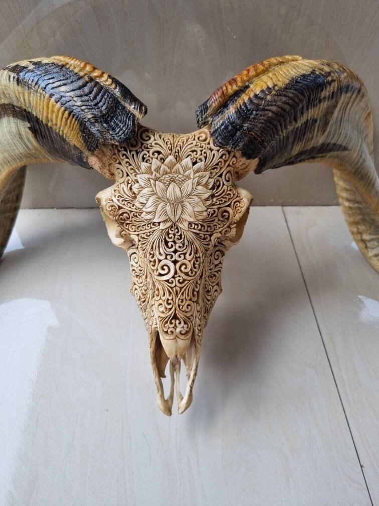 Carved Ram Skull Carving Lotus - Etsy UK