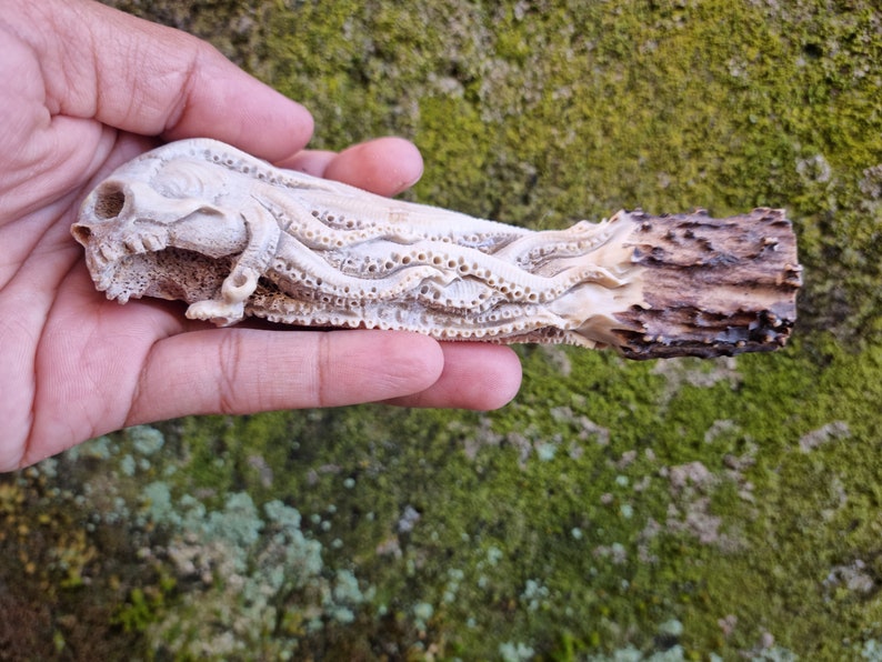 Deer Antler Carving Skull Octopus for Knife Handle - Etsy