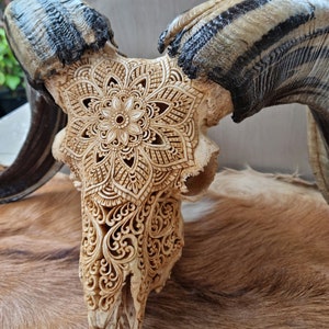 Carve Ram Skull Carving Mandala - Etsy
