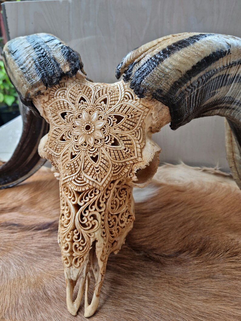 Carve Ram Skull Carving Mandala - Etsy