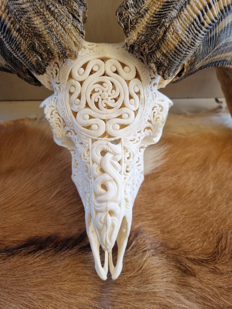 Carved Ram Skull Celtic Snack - Etsy