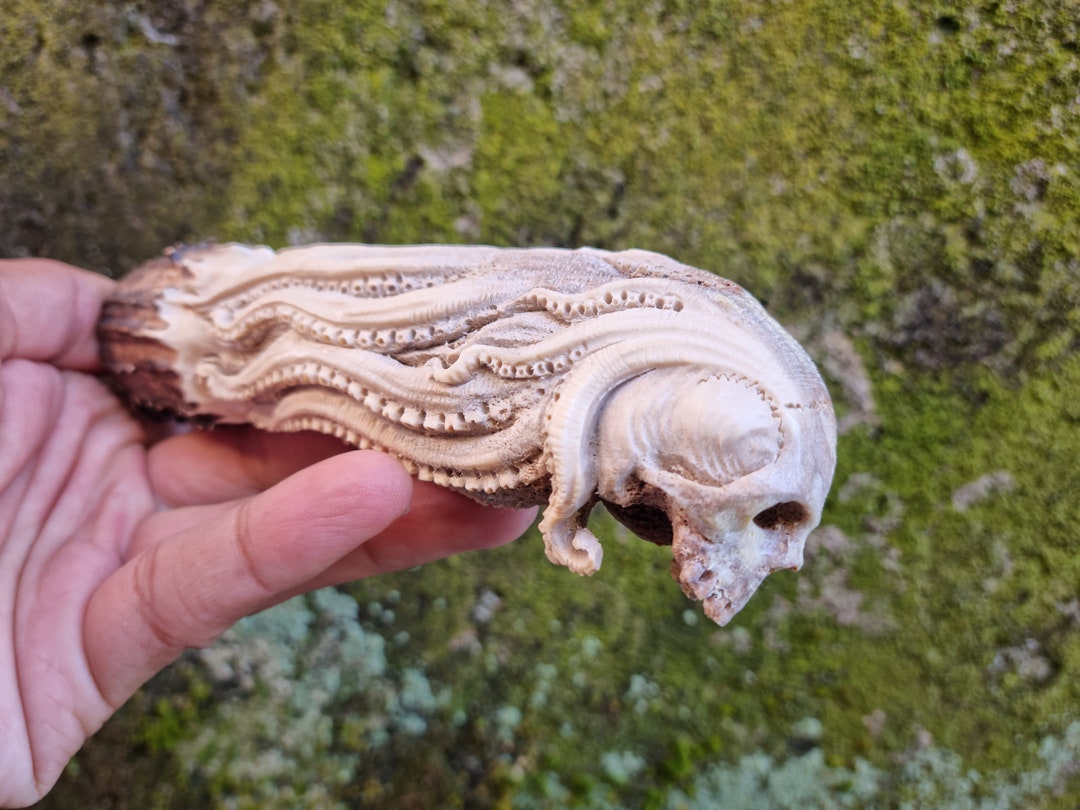 Deer Antler Carving Skull Octopus for Knife Handle - Etsy