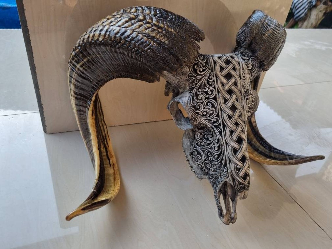 Carve Ram Skull Carving Celtic With Patern | Etsy