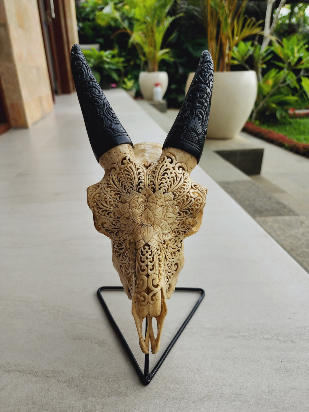 Carve Goat Skull Carving Lotus Antic - Etsy