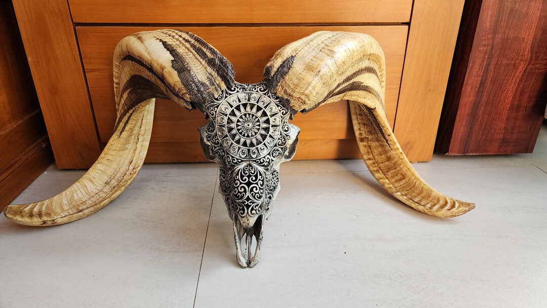 Ram Skull Carving Round Grey - Etsy