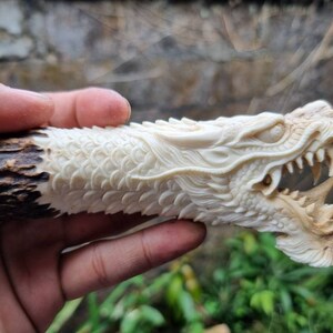 Moose Antler Carving Dragon Knife Handle - Etsy