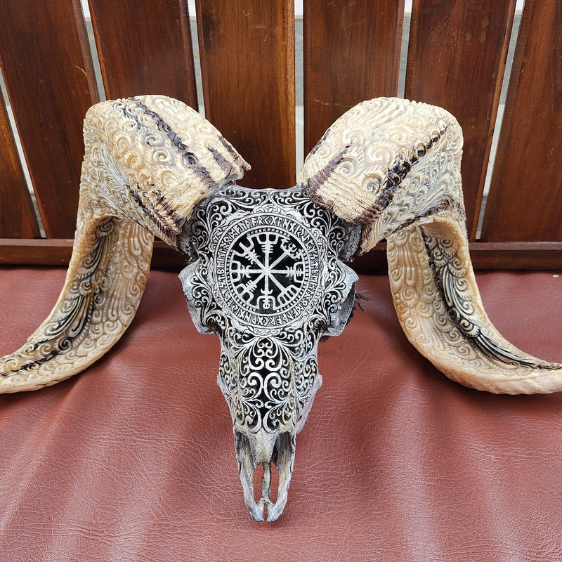 Goat Skull - Etsy
