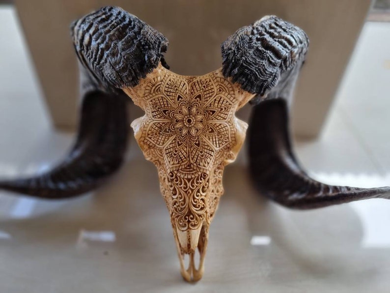 Carve Ram Skull Carving Mandala - Etsy