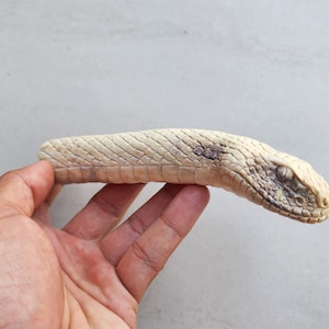 Antler Carving Ratlle Snake for Knife Handle - Etsy