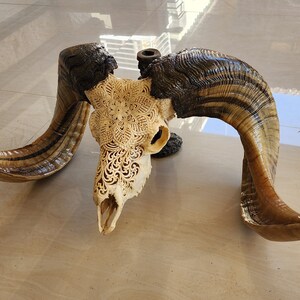 Carve Ram Skull Carving Mandala - Etsy