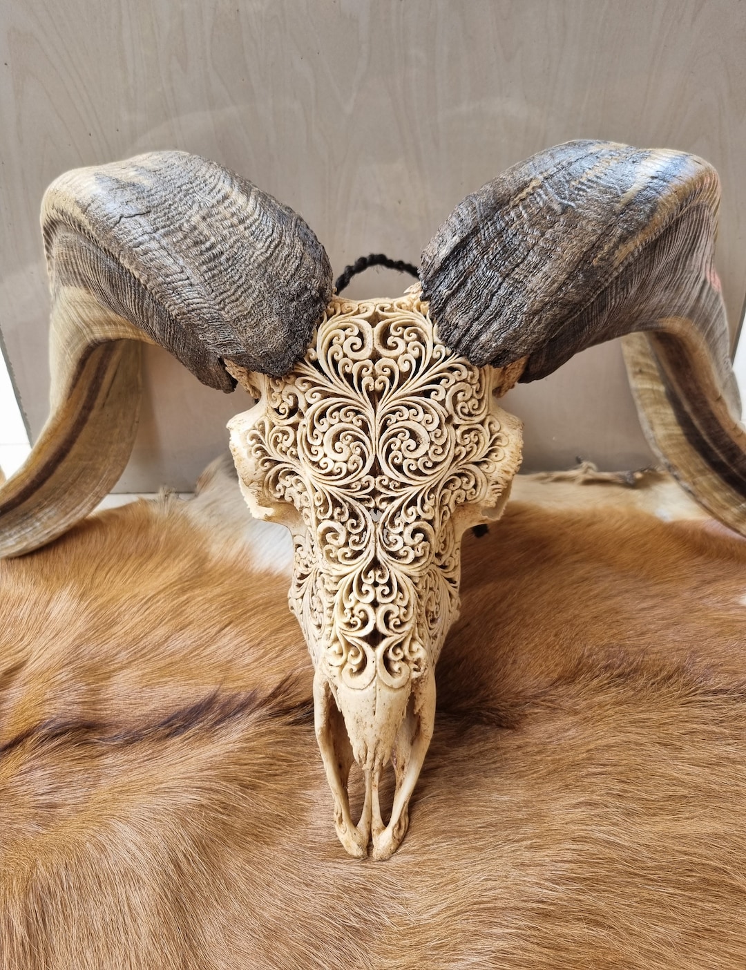 Carved Ram Skull Qurly Patern - Etsy