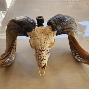 Carve Ram Skull Carving Mandala - Etsy