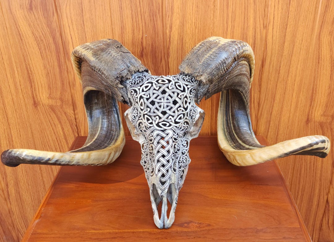 Carved Ram Skull Carving Celtic Grey - Etsy