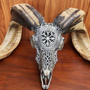 Carve Ram Skull Carving Viking Grey - Etsy