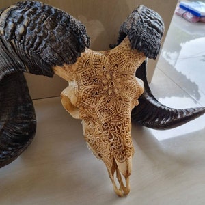 Carve Ram Skull Carving Mandala - Etsy