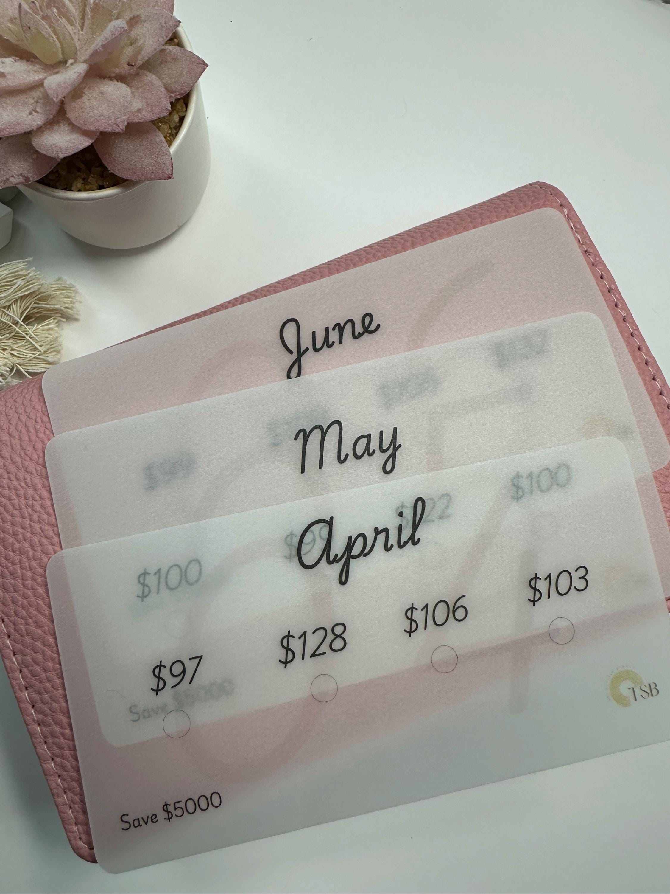 5K Savings Challenge Bundle: 12-month Budget Binder Tracker - Etsy