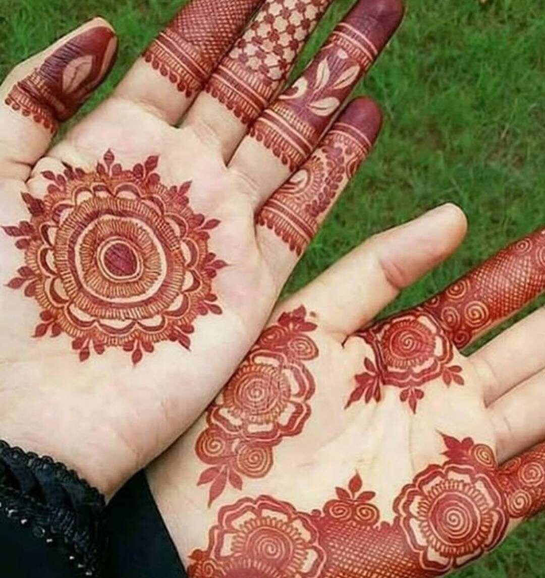 Mehndi plant seeds_ henna plant seeds a ceylonlife | Etsy