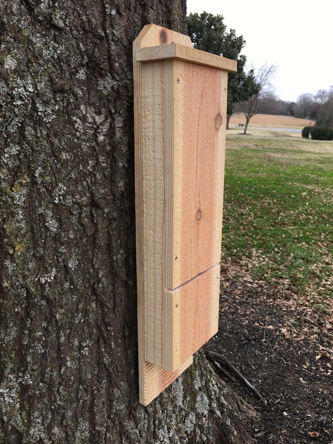 TWO PACK Single Chamber Cedar Bat House Box Red Cedar | Etsy