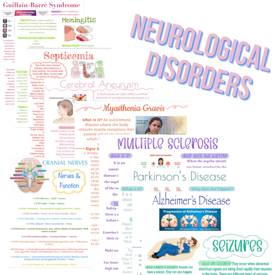 Neurological Disorder Notes Bundle - Study Guide - Digital Download - Etsy