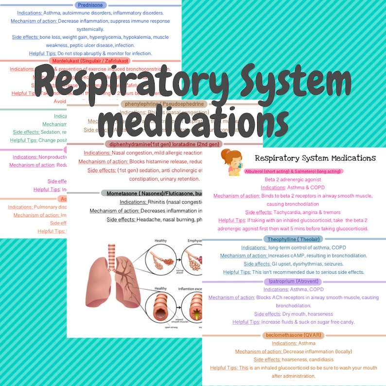 Respiratory System Medications - Nursing School- Pharmacology - Etsy