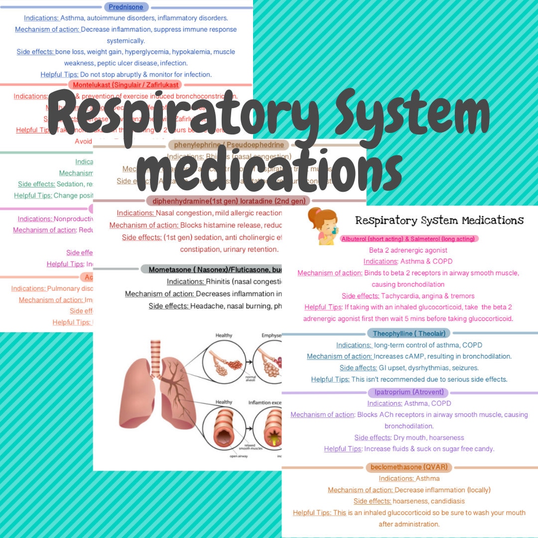 Respiratory System Medications - Nursing School- Pharmacology - Etsy