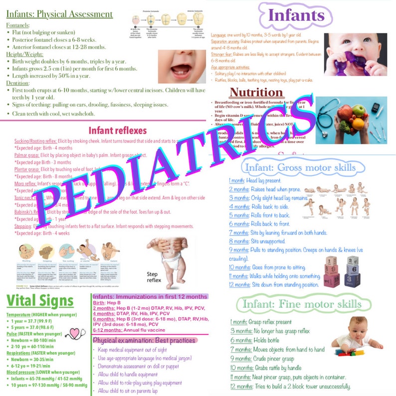 Nursing School Notes Pediatric Nursing Growth and Development - Etsy