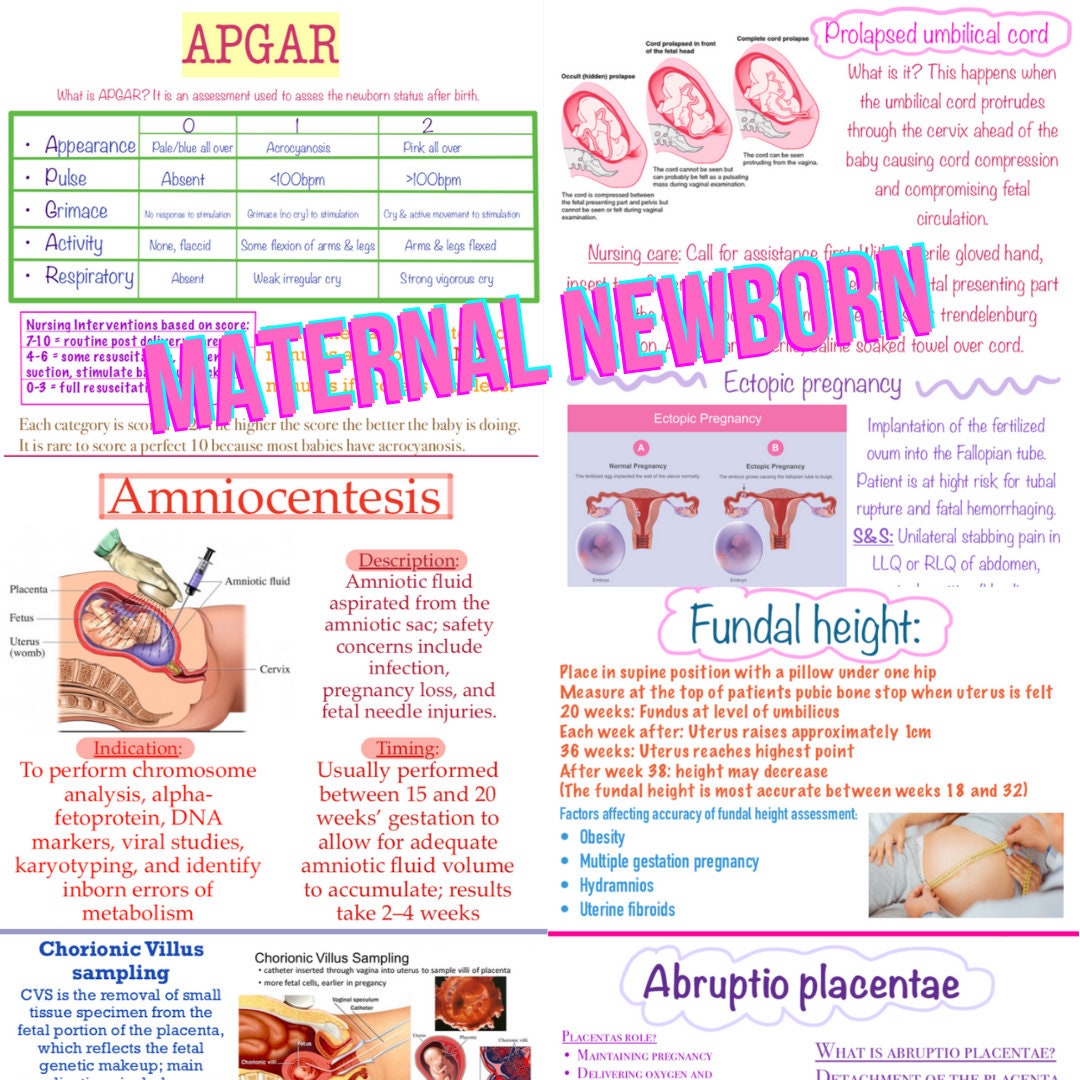 Maternal Newborn Notes - Etsy
