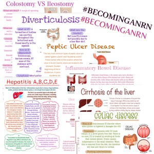GI Disorder Notes Bundle Study Guide Digital Download - Etsy
