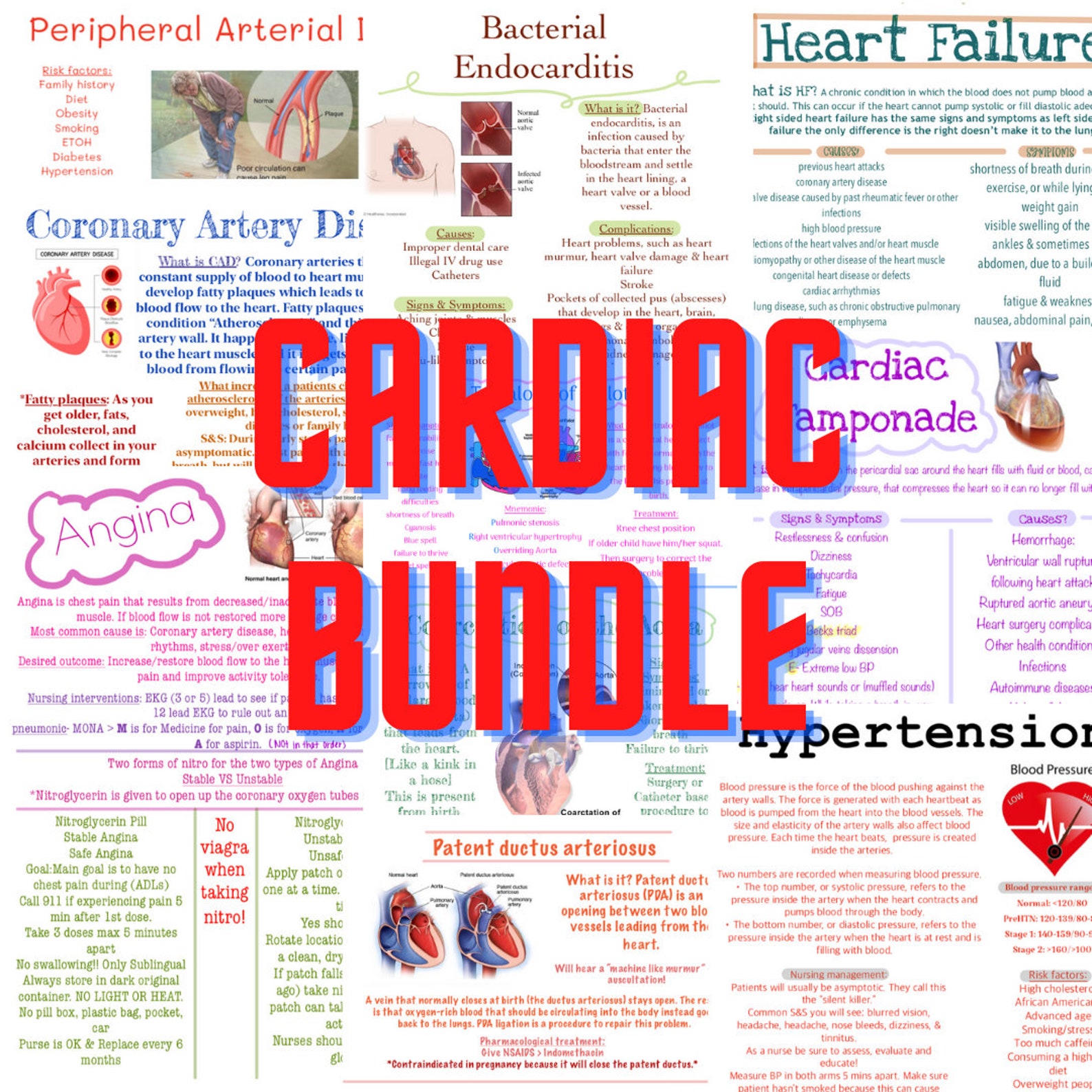 Cardiac Bundle - Nursing School Notes - Digital Download - Etsy