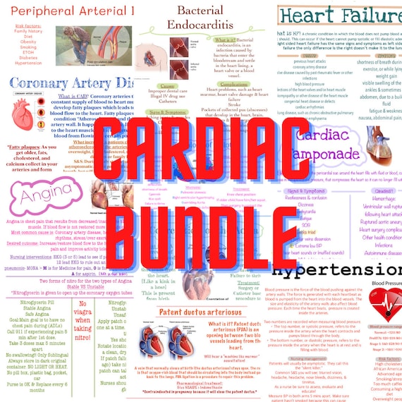 Cardiac Bundle Nursing School Notes Digital Download - Etsy