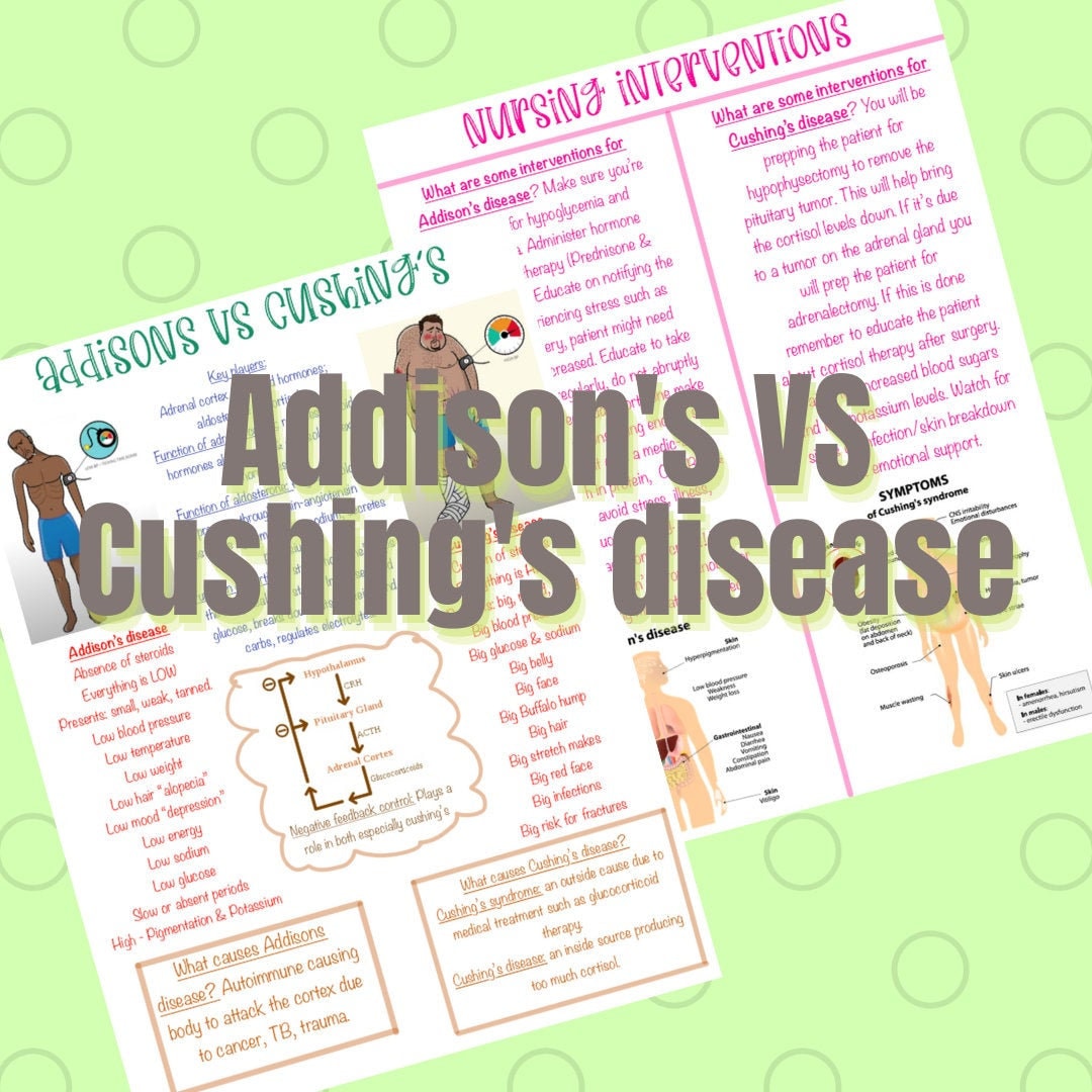 Addison's Vs Cushing's Disease Nursing School Notes - Etsy