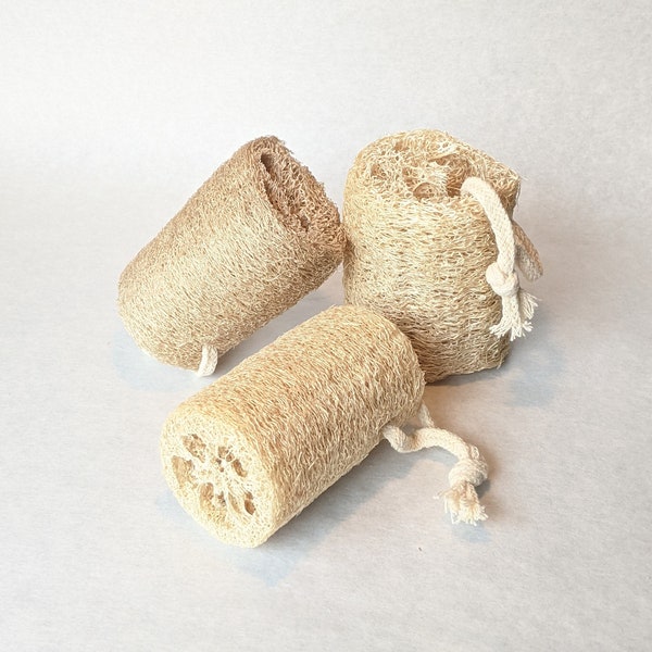 Luffa - Etsy
