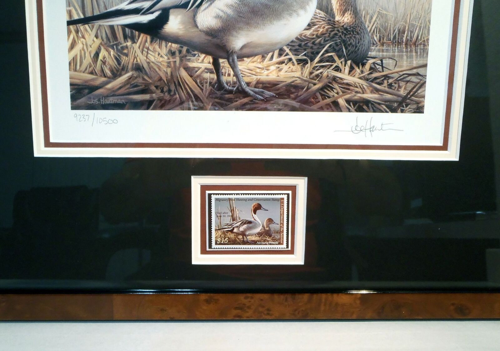 2008 Signed Federal Duck Print & Stamp RW75 Framed Triple | Etsy