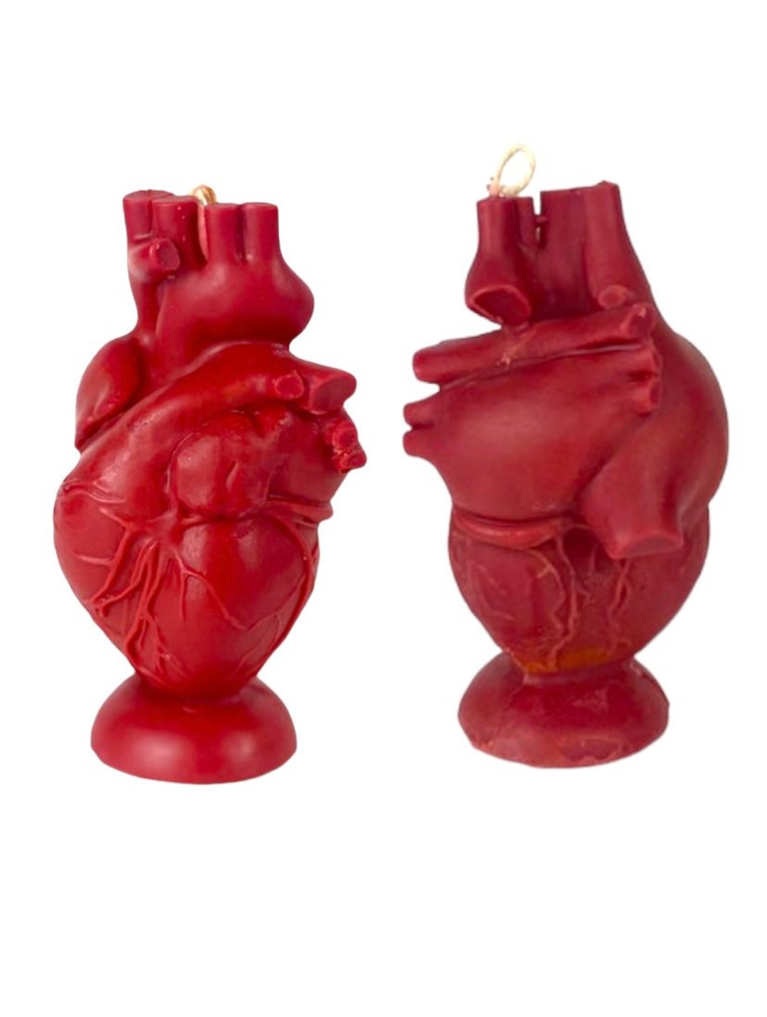 Valentines Human Heart Candle, Medical Students Anatomy Birthday Gift ...