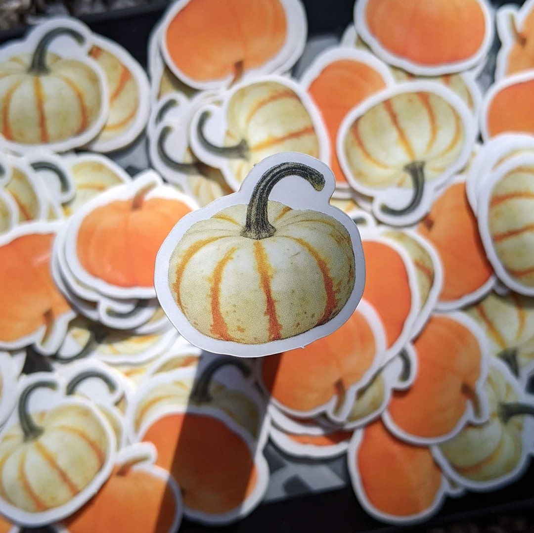 Mini Pumpkin Sticker PACK 6 Clear Stickers - Etsy