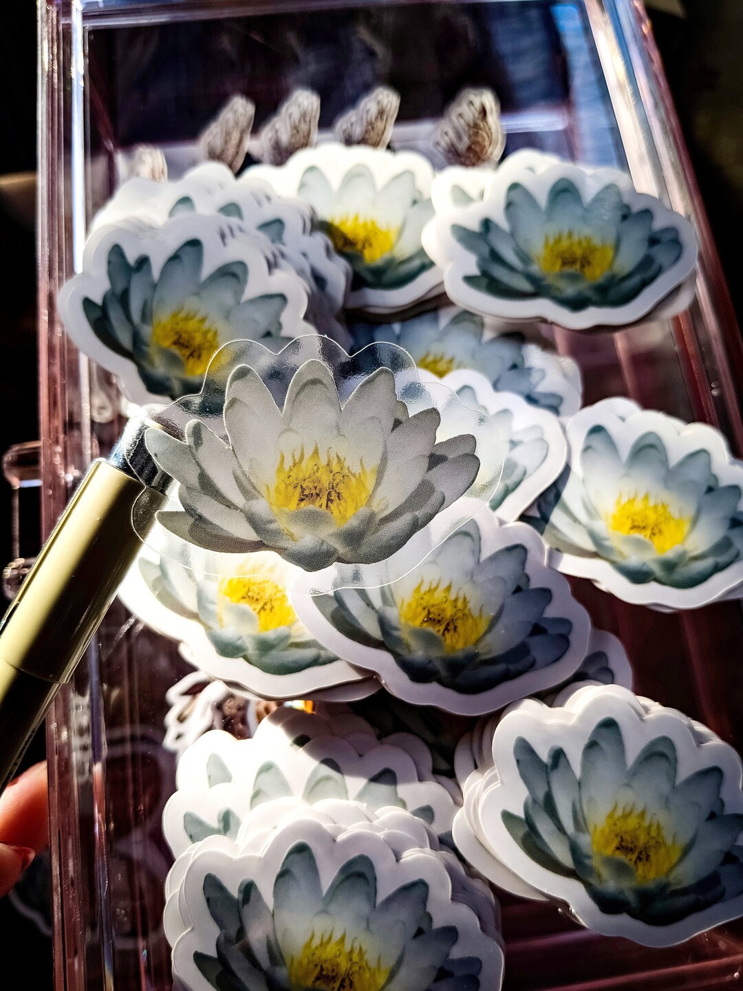 Lily Flower Sticker clear Sticker - Etsy
